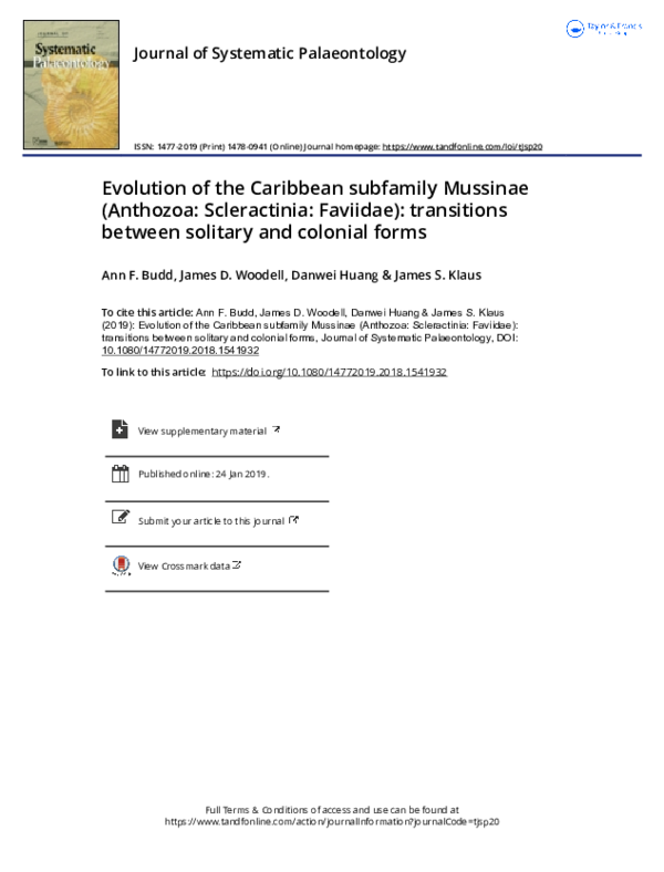 (PDF) Evolution of the Caribbean subfamily Mussinae (Anthozoa ...