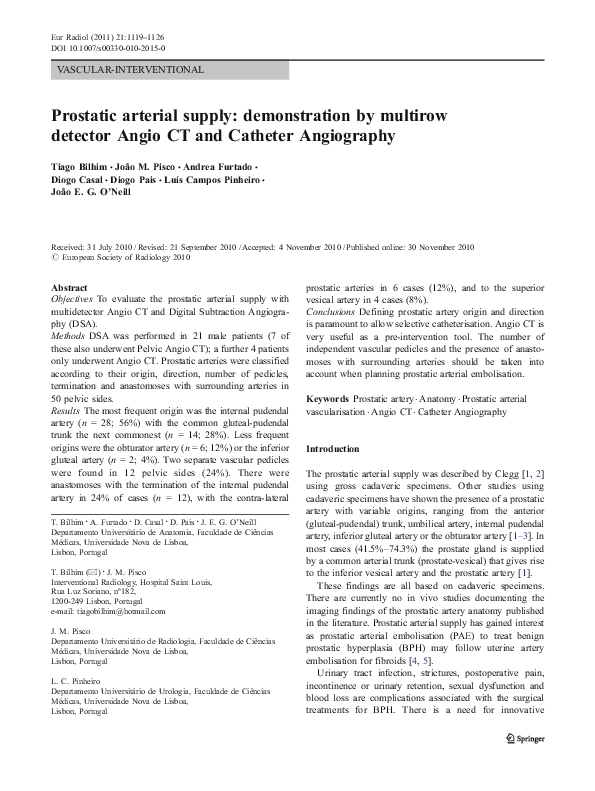 (PDF) Prostatic arterial supply: demonstration by multirow detector ...