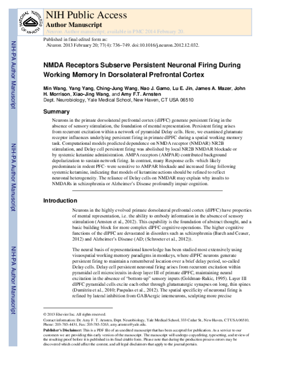 (PDF) NMDA receptors subserve persistent neuronal firing during working ...