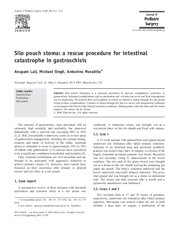 (PDF) Silo pouch stoma: a rescue procedure for intestinal catastrophe ...