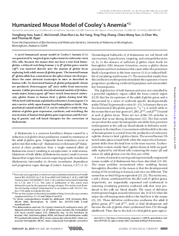 (PDF) Humanized Mouse Model of Cooley's Anemia