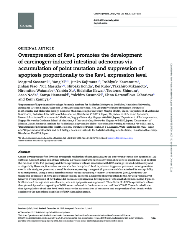 (PDF) Overexpression of Rev1 promotes the development of carcinogen ...