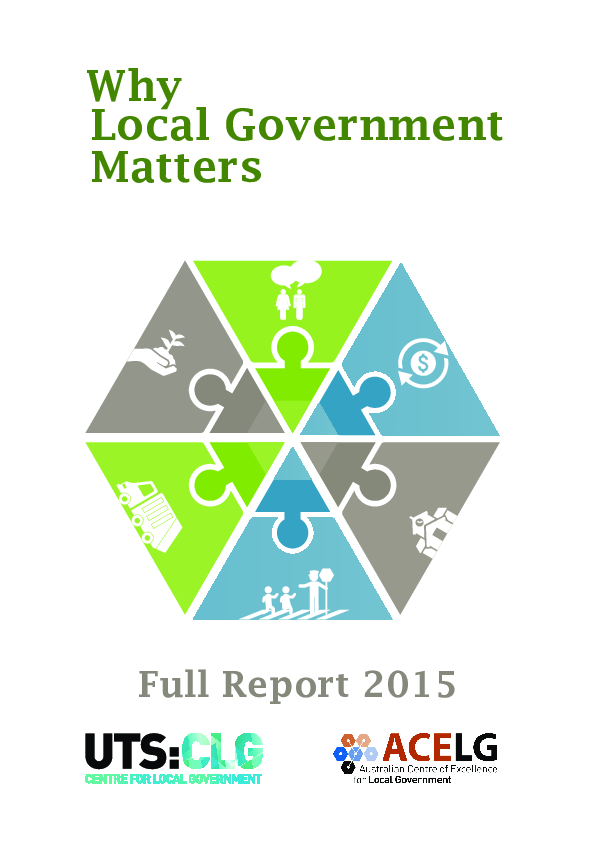 (PDF) Why Local Government Matters