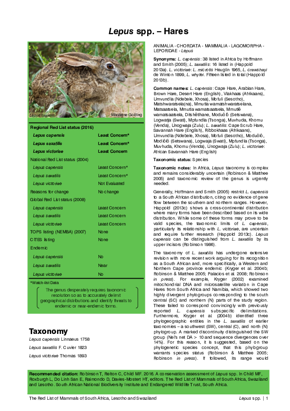 (PDF) Lepus spp. – Hares