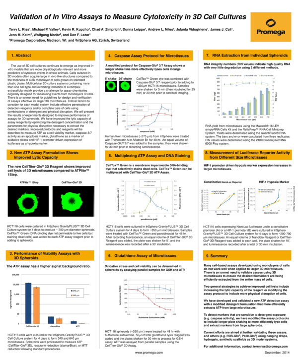 (PDF) Validation of in vitro assays to measure cytotoxicity in 3D cell ...