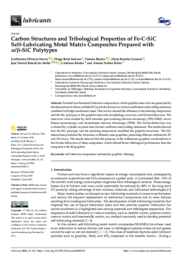 (PDF) Carbon Structures and Tribological Properties of Fe-C-SiC Self ...