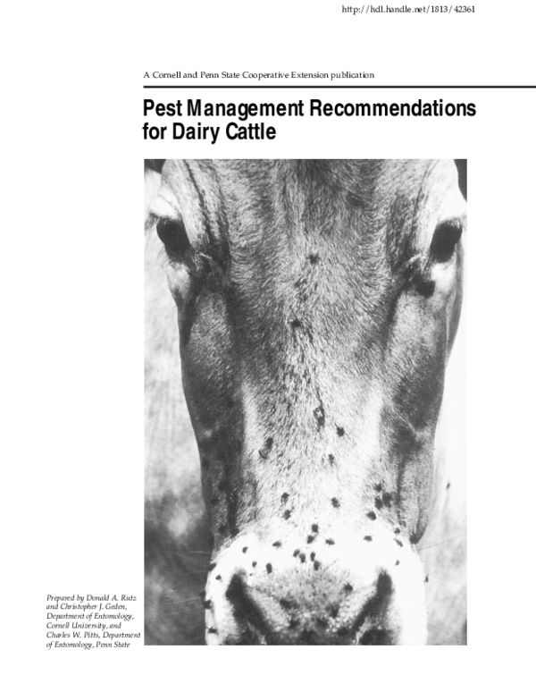 (PDF) Pest Management Recommendations for Dairy Cattle