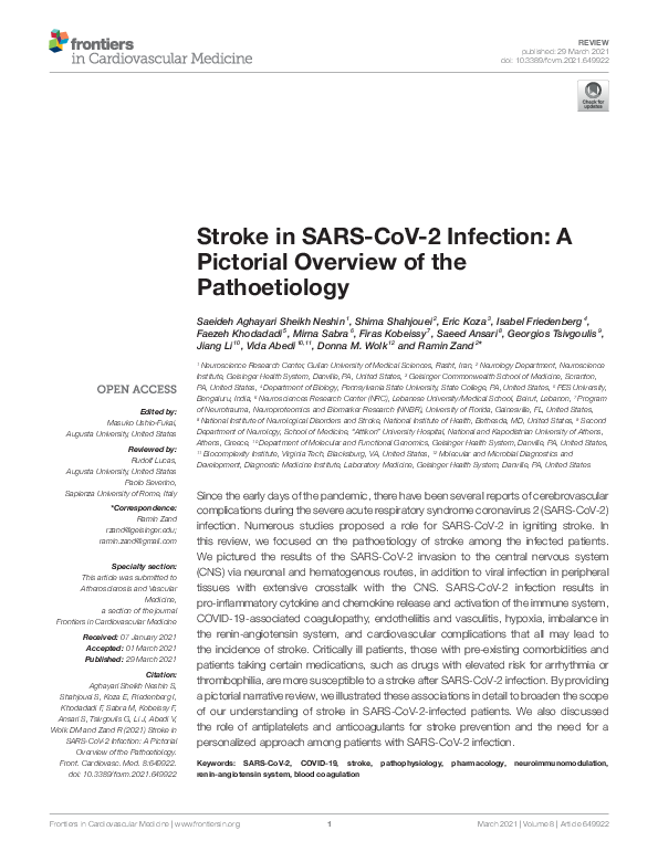 (PDF) Stroke in SARS-CoV-2 Infection: A Pictorial Overview of the ...