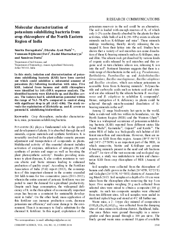 (PDF) Molecular Characterization of Potassium Solubilizing Bacteria ...