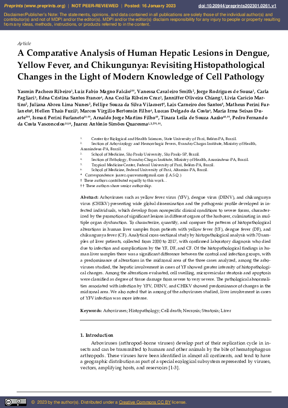 (PDF) A Comparative Analysis of Human Hepatic Lesions in Dengue, Yellow ...