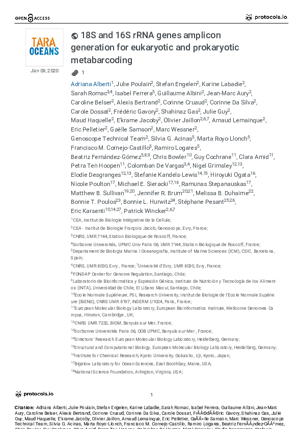 (PDF) 18S and 16S rRNA genes amplicon generation for eukaryotic and prokaryotic metabarcoding v1 ...