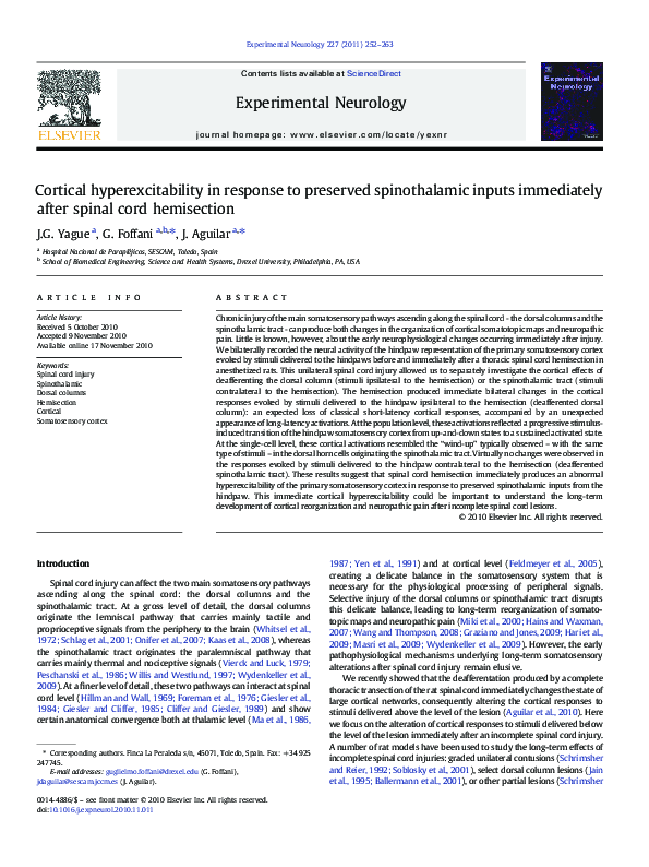 (PDF) Cortical hyperexcitability in response to preserved spinothalamic inputs immediately after ...