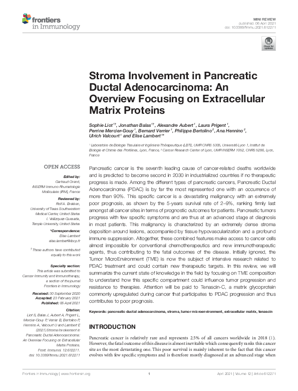 (PDF) Stroma Involvement in Pancreatic Ductal Adenocarcinoma: An ...