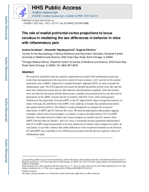 (PDF) The role of medial prefrontal cortex projections to locus ...