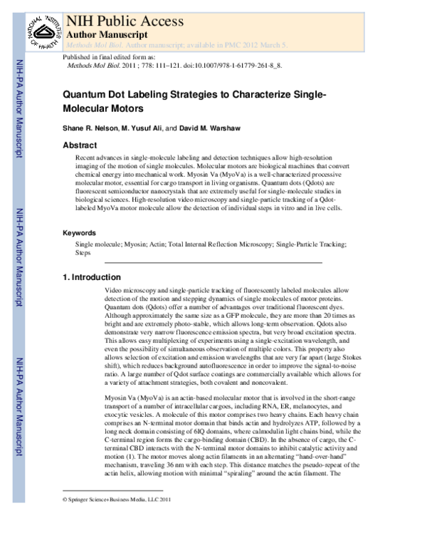 (PDF) Quantum Dot Labeling Strategies to Characterize Single-Molecular ...