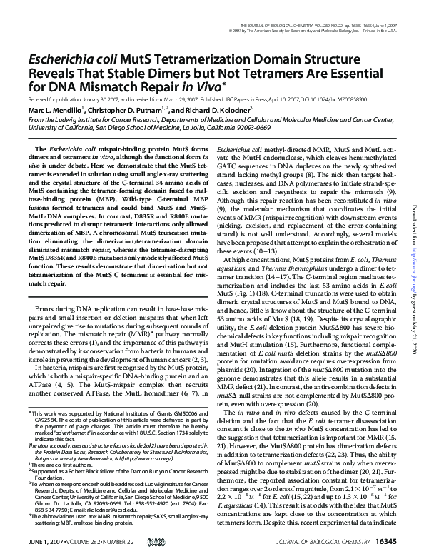 (PDF) Escherichia coli MutS Tetramerization Domain Structure Reveals ...