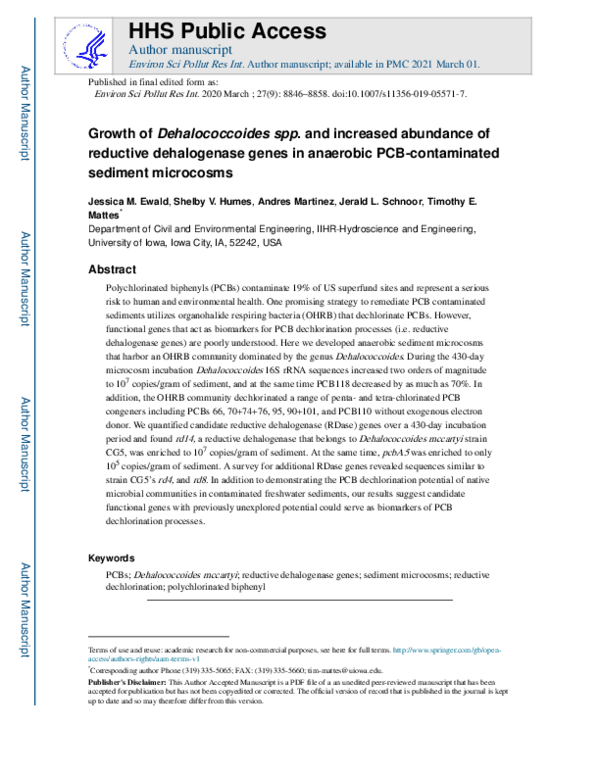 (PDF) Growth of Dehalococcoides spp. and increased abundance of ...