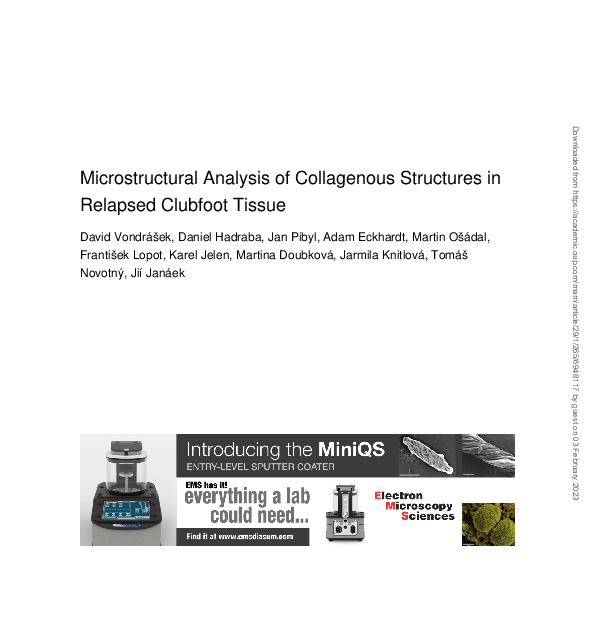 (PDF) Microstructural Analysis of Collagenous Structures in Relapsed ...