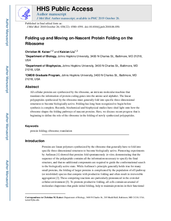 (PDF) Folding up and Moving on—Nascent Protein Folding on the Ribosome