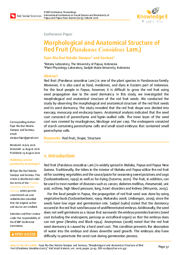 (PDF) Morphological And Anatomical Structure Of Red Fruit (Pandanus Conoideus Lam.)