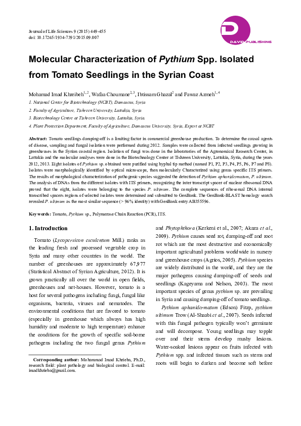 Pdf Molecular Characterization Of Pythium Spp Isolated From Tomato Seedlings In The Syrian Coast