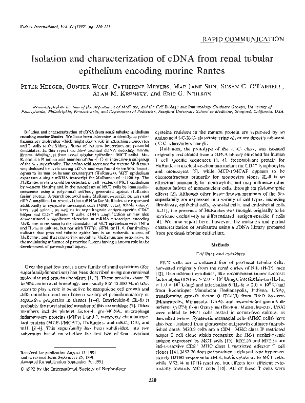 (PDF) Isolation and characterization of cDNA from renal tubular epithelium encoding murine ...