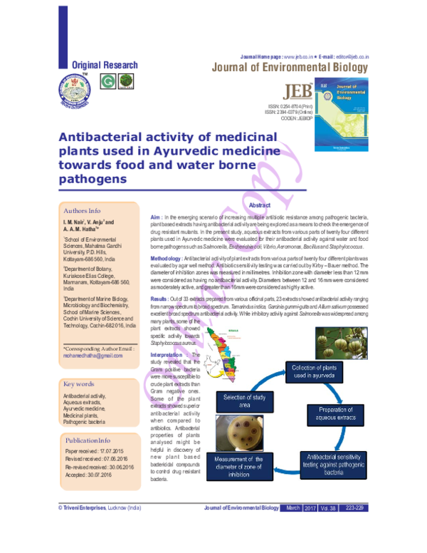 (PDF) Antibacterial activity of medicinal plants used in Ayurvedic ...