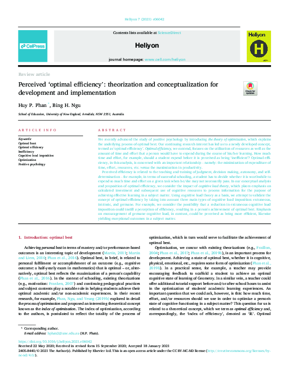 (PDF) Perceived ‘optimal efficiency’: theorization and ...