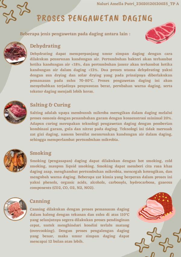(PDF) Poster Proses Pengawetan Daging