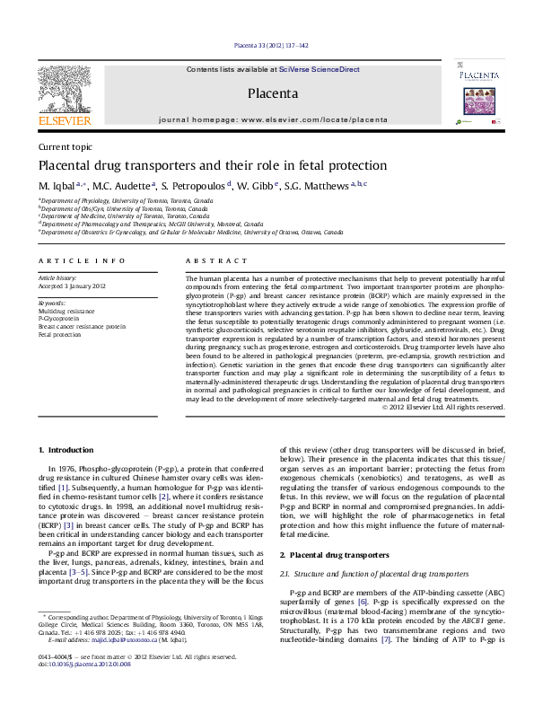 (PDF) Placental drug transporters and their role in fetal protection