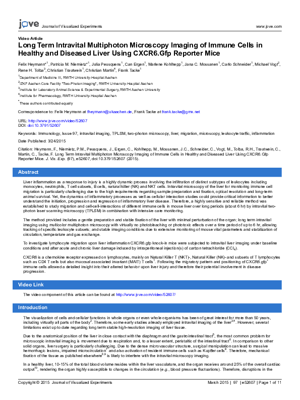 (PDF) Long Term Intravital Multiphoton Microscopy Imaging of Immune ...