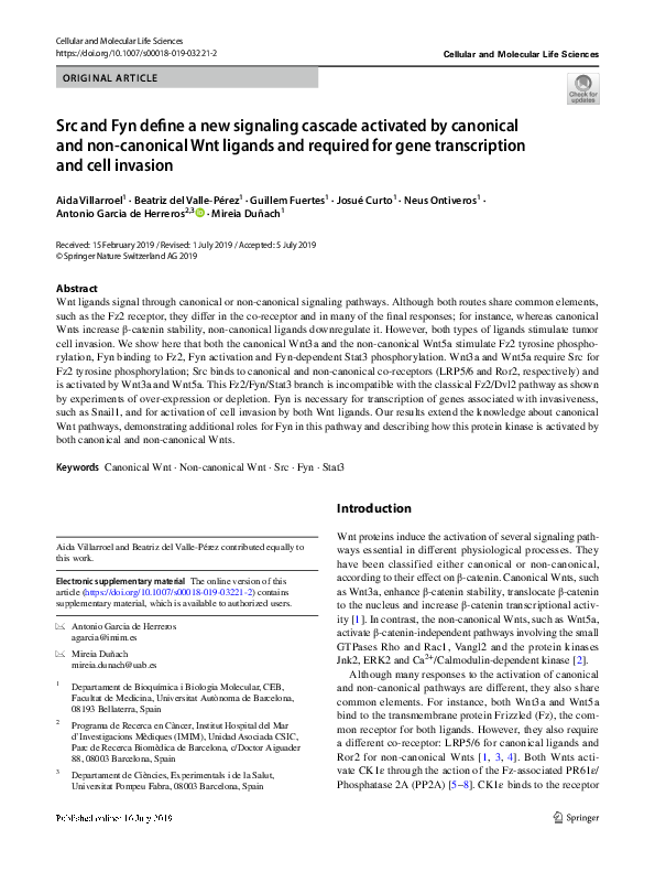 (PDF) Src and Fyn define a new signaling cascade activated by canonical ...