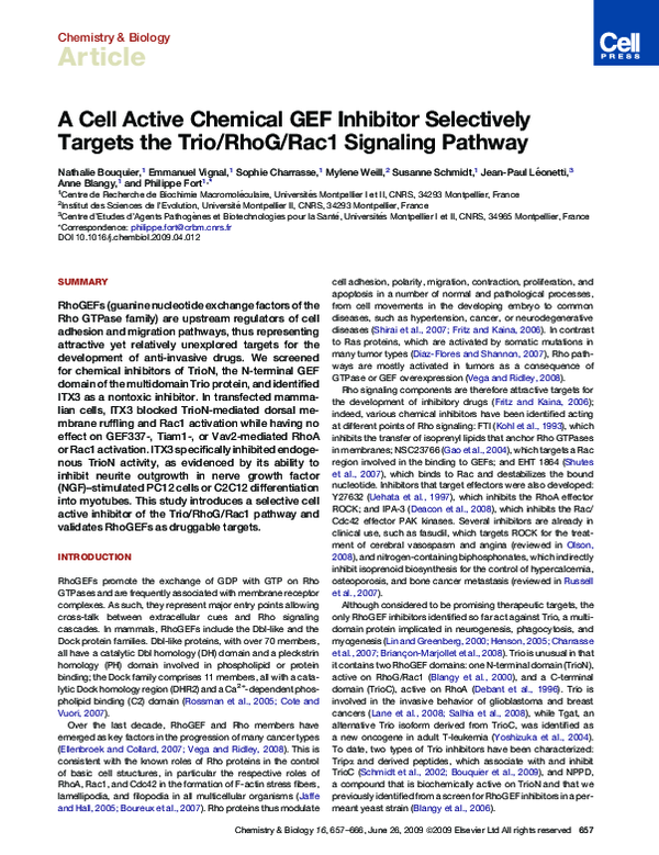 (PDF) A Cell Active Chemical GEF Inhibitor Selectively Targets the Trio ...