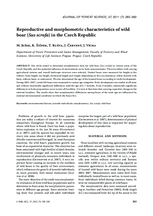 (PDF) Reproductive and morphometric characteristics of wild boar (Sus ...