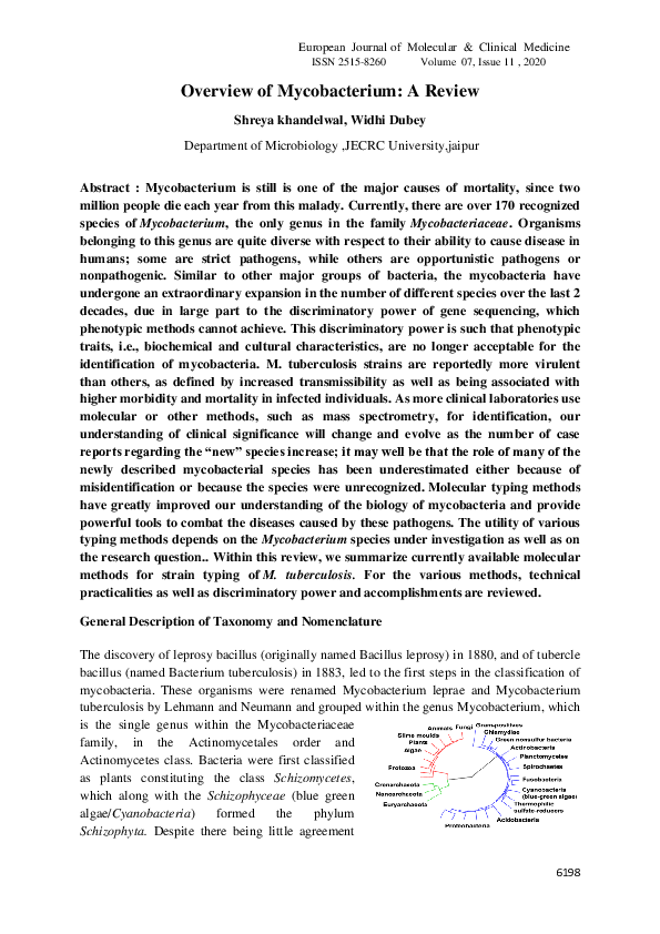 (PDF) Overview of Mycobacterium: A Review