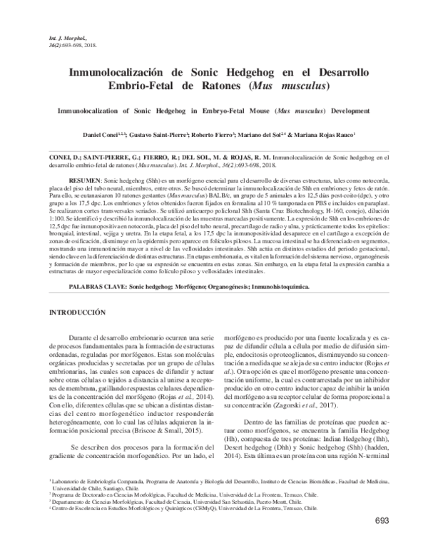 (PDF) Inmunolocalización de Sonic Hedgehog en el Desarrollo Embrio ...