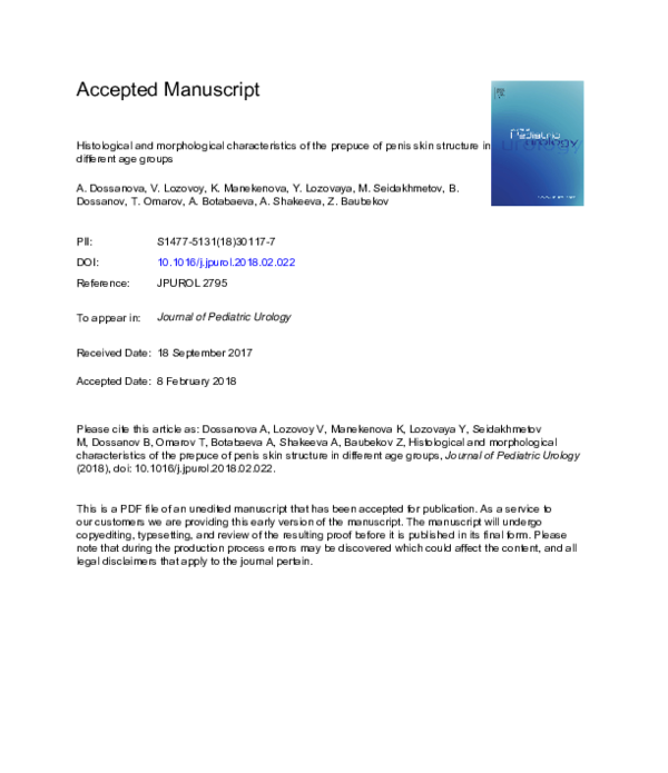 (PDF) Histological and morphological characteristics of the prepuce of ...