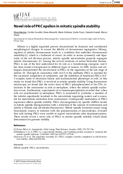 (PDF) Novel role of PKC epsilon in mitotic spindle stability