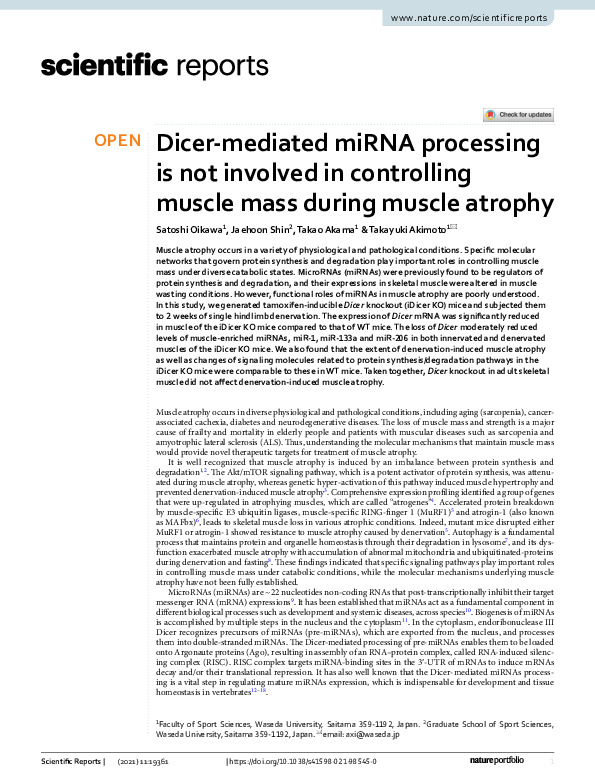 (PDF) Dicer-mediated miRNA processing is not involved in controlling ...