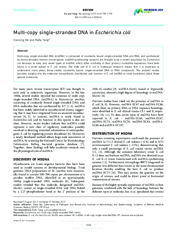 (PDF) Multi-copy single-stranded DNA in Escherichia coli