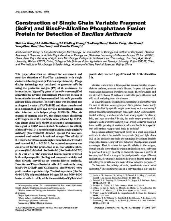 (PDF) Construction of Single Chain Variable Fragment (ScFv) and BiscFv-Alkaline Phosphatase ...