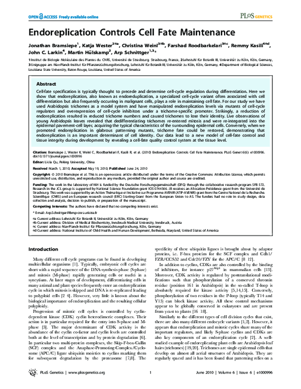 (PDF) Endoreplication Controls Cell Fate Maintenance