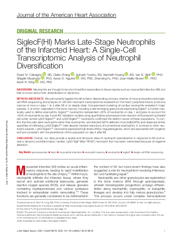 (PDF) SiglecF(HI) Marks Late‐Stage Neutrophils of the Infarcted Heart ...