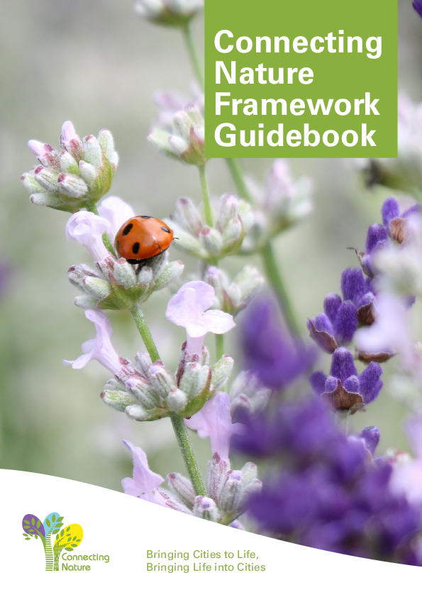 (PDF) The Connecting Nature Framework: facilitating and connecting ...