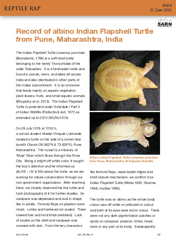 (PDF) Record of albino Indian Flapshell Turtle from Pune, Maharashtra ...