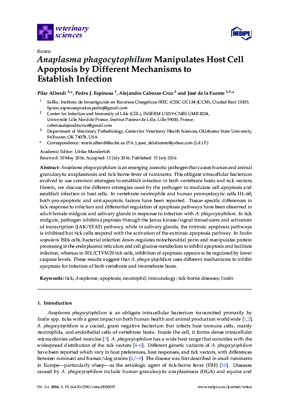 (PDF) Anaplasma phagocytophilum Manipulates Host Cell Apoptosis by ...