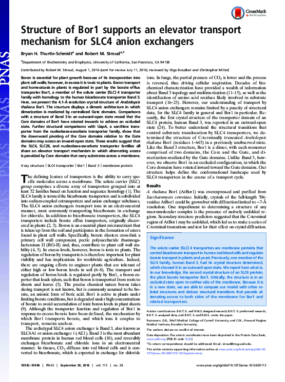 (PDF) Structure of Bor1 supports an elevator transport mechanism for ...