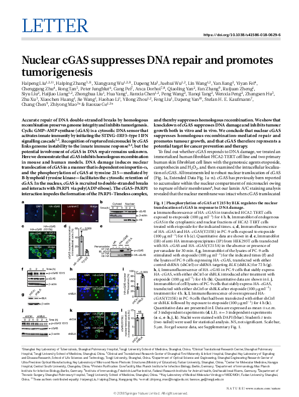 (PDF) Nuclear cGAS suppresses DNA repair and promotes tumorigenesis