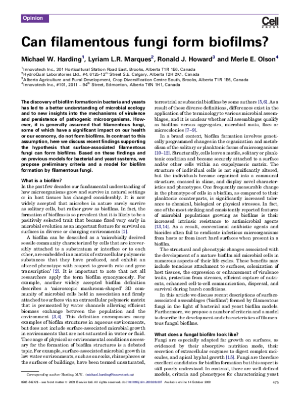 (PDF) Can filamentous fungi form biofilms?