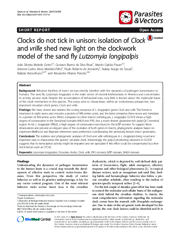 (PDF) Clocks do not tick in unison: isolation of Clock and vrille shed ...